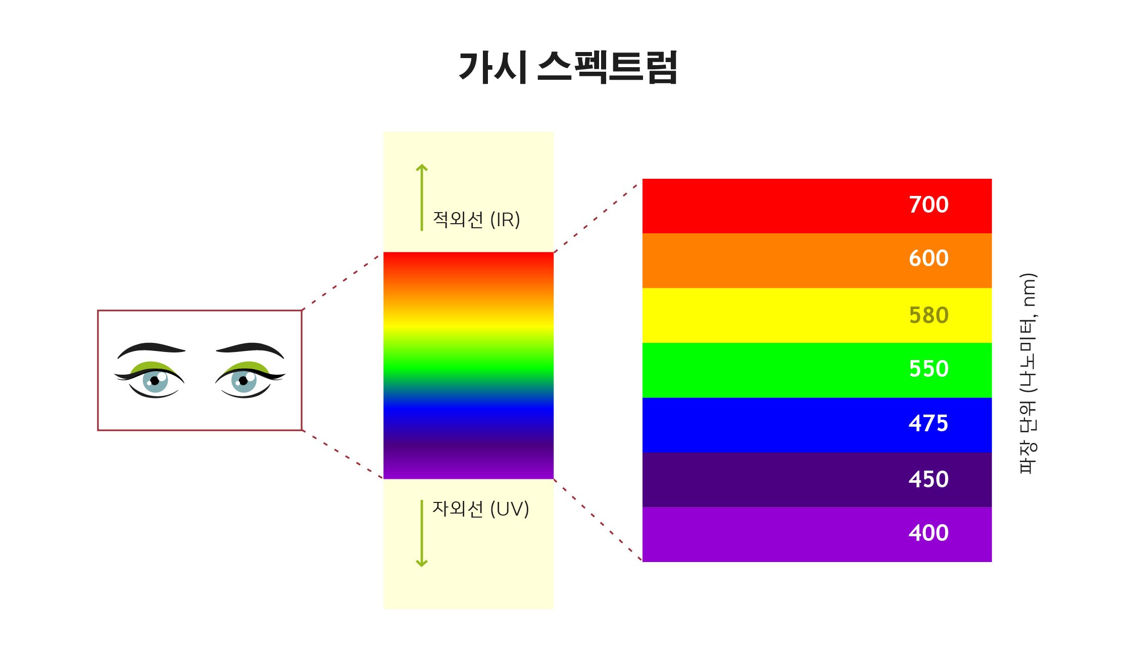 RGB 카메라: 알아야 할 기본 지식 | JAI