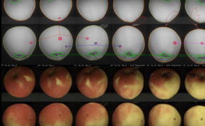 JAI Introduces "Flex-Eye" - a new and innovative approach in customized ...