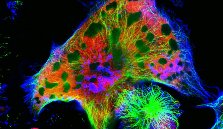 Seeing red (and beyond): extended red sensitivity for life science ...